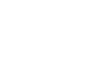 Susrut Eye Foundation & Research Centre: SEFRC